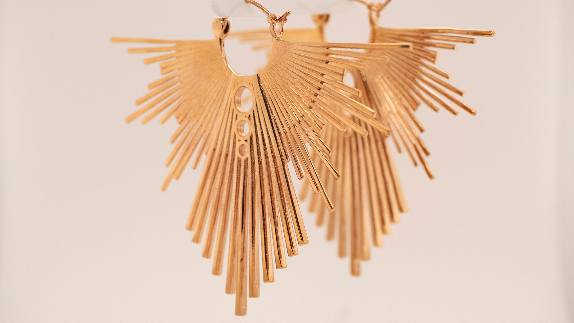 Collections – Body Manipulations LLC